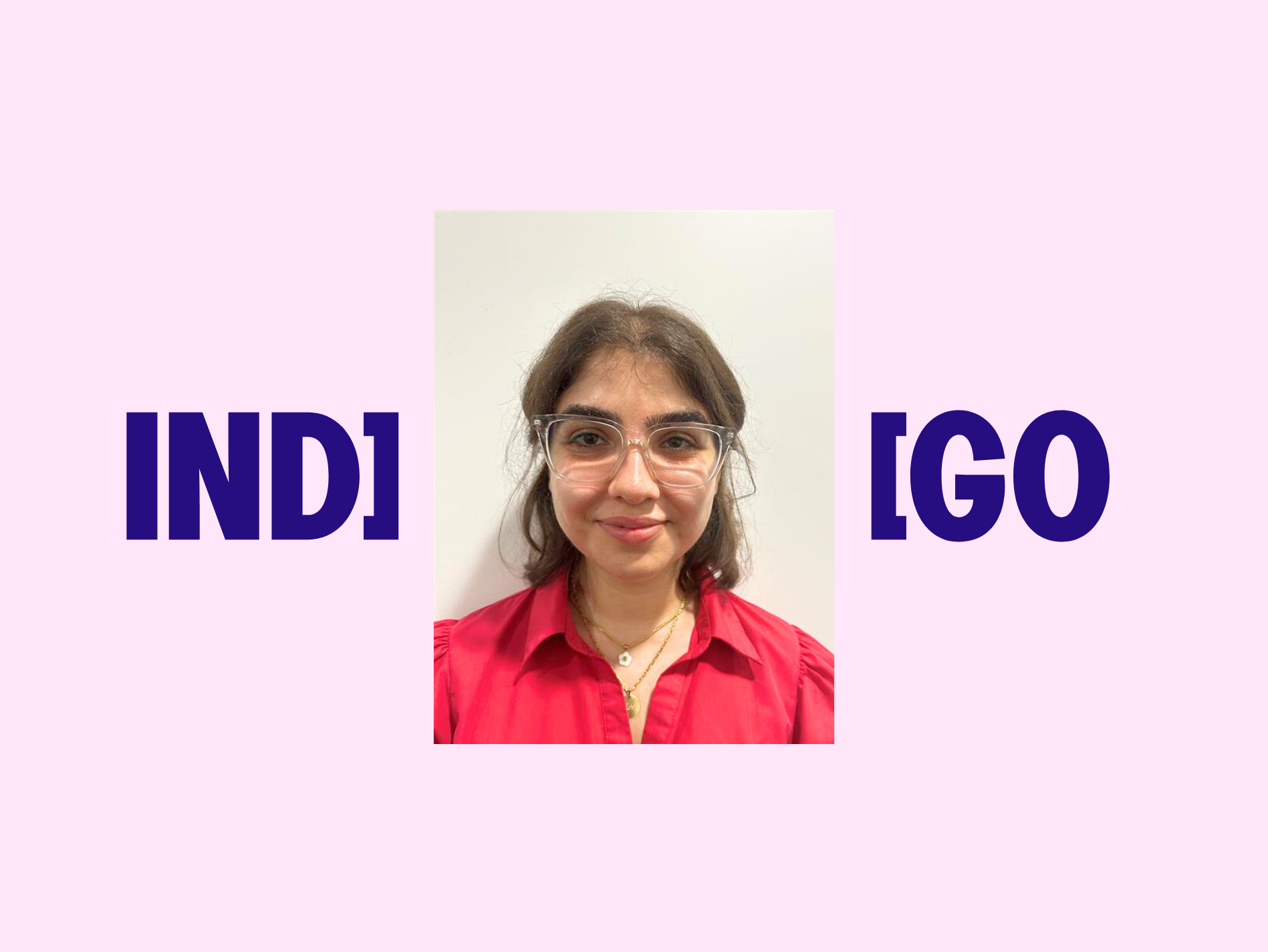 Meet the Team: Mino Bahmani | Indigo